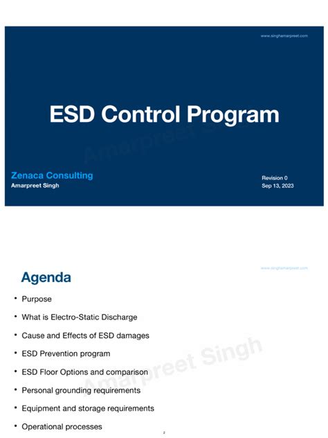 Esd Control Program Pdf