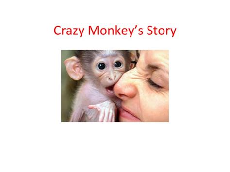 Monkey Ppt