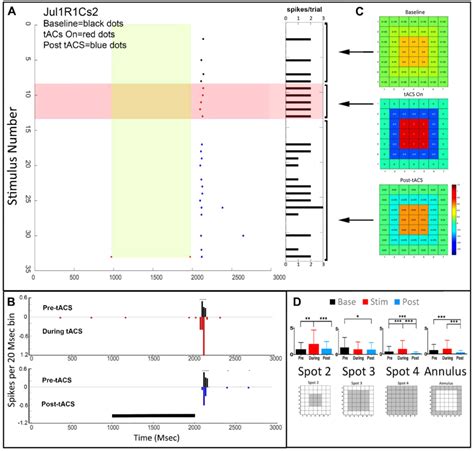 Temporal And Spatial Characteristics Of The Responses Of A Transient