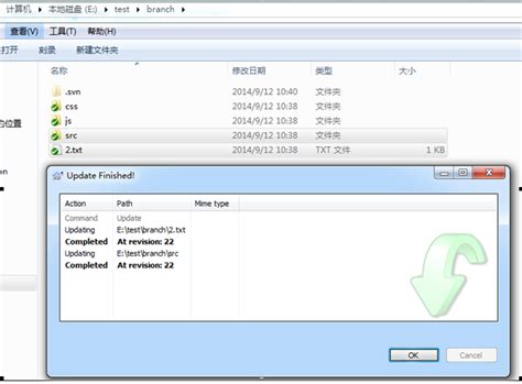 Svn（tortoisesvn）详细教程（四） 创建分支合并相互操作svn新建分支 Csdn博客