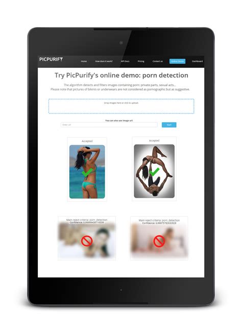 Porn Detection In Images PicPurify
