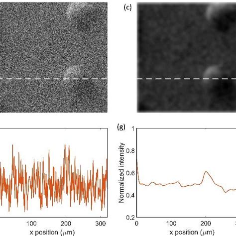 Figure S4 Comparisons Between Images Processed By Gaussian Filter And Download Scientific