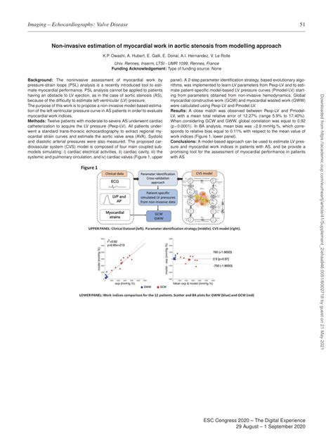 Pdf Non Invasive Estimation Of Myocardial Work In Aortic Stenosis