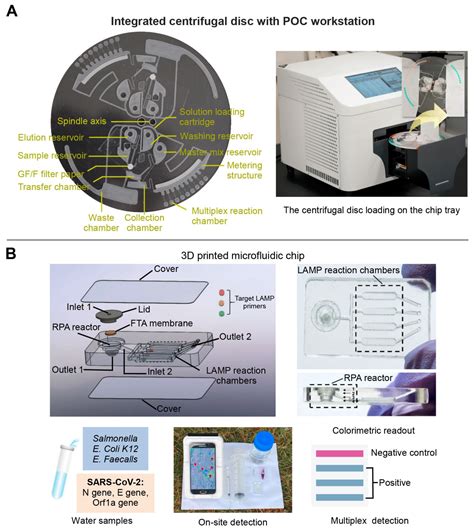 Multiplex Detection Of Infectious Diseases On Microfluidic Platforms