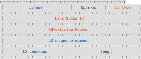 Ospf Lsa头部详解 Csdn博客