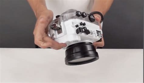 What Is The Difference Between Basic Seafrogs Housing And More Advance