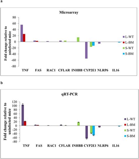 real time quantitative pcr validation of microarray data regulation