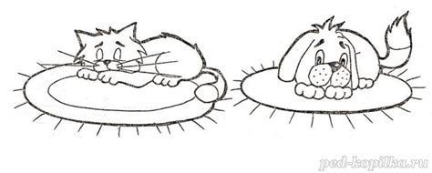 Развивающее задание в картинках для детей 4 5 лет У собачки и кошки синий и зелёный коврики У