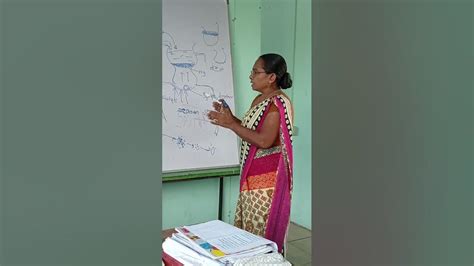 රස ඖෂධ භාවිතයේ ගුණ Youtube