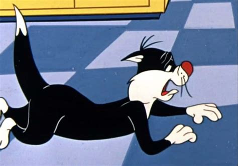 Download The Ever Funny Sylvester The Cat