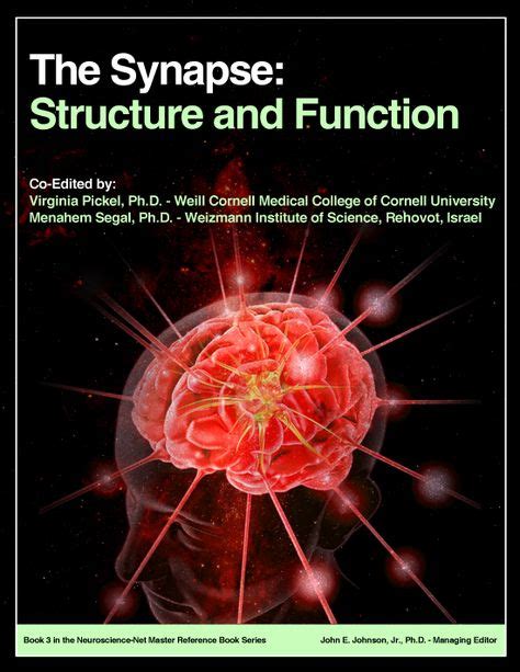Circuit Board Shape Graphic Template