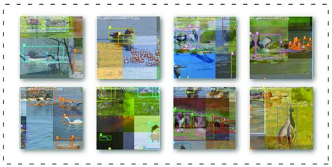 Images After The Mixup Augmentation Processing Download Scientific