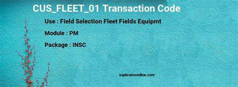 CUS FLEET SAP Tcode For Field Selection Fleet Fields Equipmt