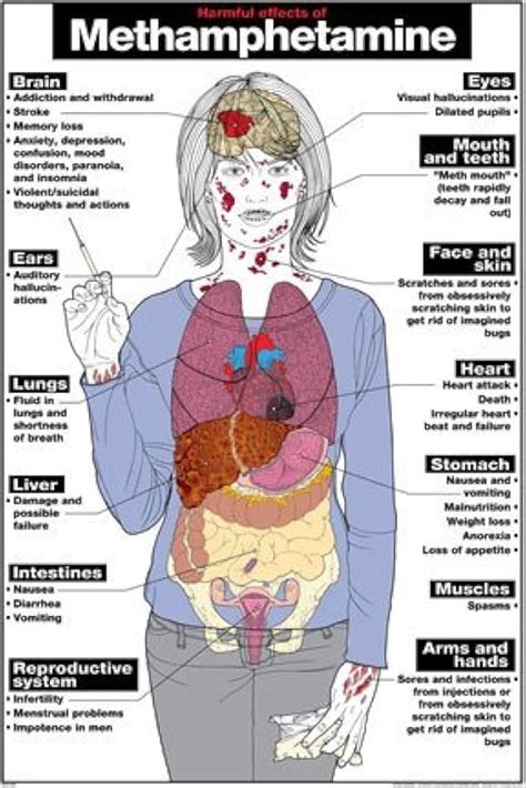 Meth Effects