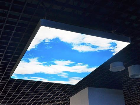 Ceiling Lightboxes Leach
