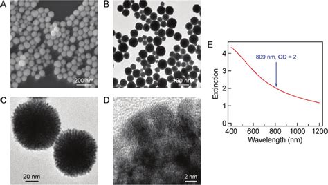 Porous Pt Nanoparticles A Sem Image B Tem Image At A Low Download Scientific Diagram