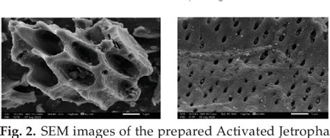 Figure 2 From Biosorption Of Hexavalent Chromium From Aqueous Solution Kinetics And Equilibrium