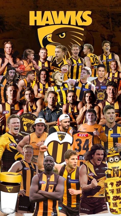 🤎hawthorn Hawks For Life💛 Hawthornhawks Hawthornhawks4life Afl