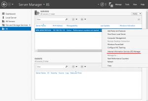 Install and configure IIS Web Server on Windows Server - Tutorial & Documentation