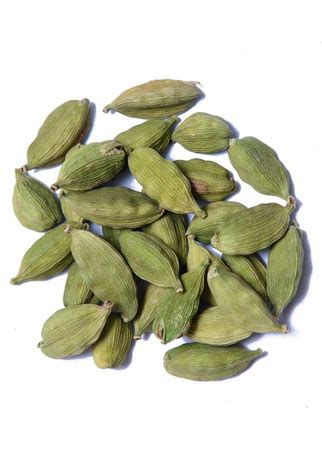 Cardamom - Abiga