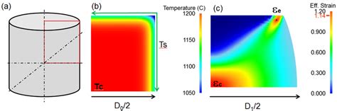 Schematic Illustrations For A Radial Axial Cross Section For 2d Download Scientific Diagram