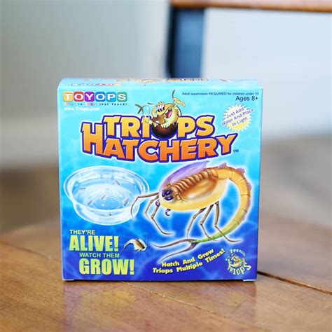 Triops Hatchery Kit Hatch And Grow Triops For An Exciting Science Project — Natures Workshop