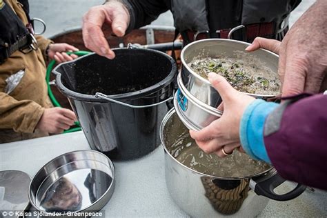 Nearly Two Thirds Of Scottish Waters Contaminated By Toxic Plastic Daily Mail Online