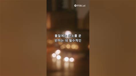 문어의 피는 왜 파란색일까 문어 피 파란색 이유 해양생물 신기함 Youtube