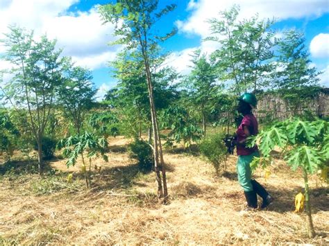 Desarrollando Un Futuro Sostenible El Poder Transformador De La