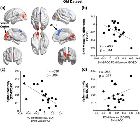 Bnm‐seeded Functional Connectivity And Alpha Reactivity For Older