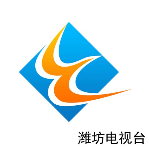 潍坊电视台征集台标，做了两个 Dklogs 设计 生活