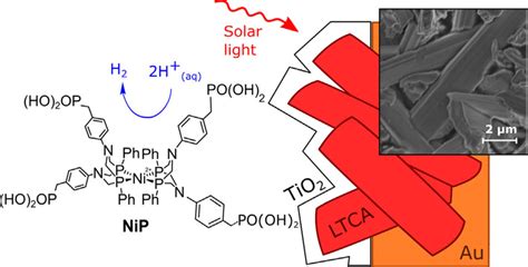 Schematic Representation Of Solar Light Driven Reduction Of Aqueous