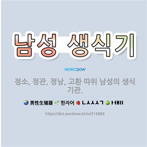 남성 생식기 정소 정관 정낭 고환 따위 남성의 생식 기관 표준국어대사전