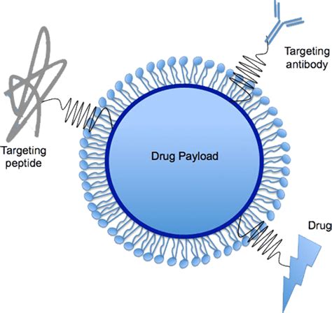 Peptide Drug Conjugate Click Chemistry