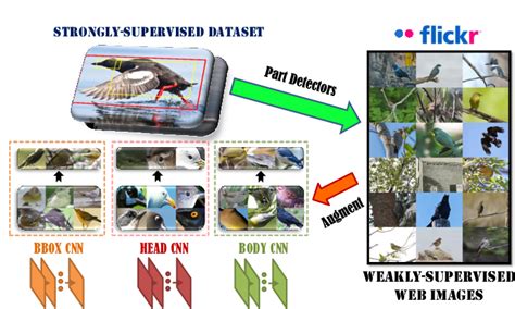 Figure 1 From Webly Supervised Fine Grained Visual Categorization Via