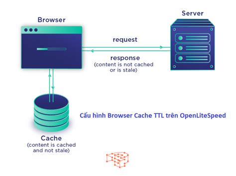 Cấu hình Browser Cache TTL trên OpenLiteSpeed chỉ 2 bước