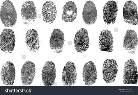 Fingerprint Biometric Vector Police Thumb Thumbprint Stock Vector Royalty Free 1894970011