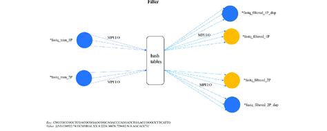 schematic for in memory duplicate removal using mpi and a local memory