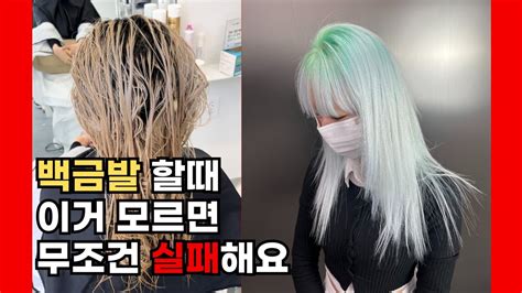 헤어디자이너 99 가 모르는 백금발 백발 여자긴머리 탈색염색 노하우 Youtube