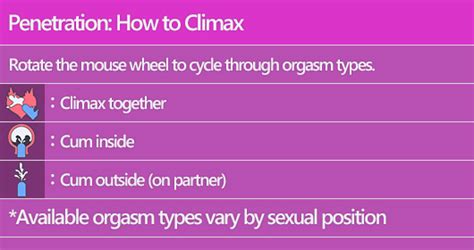 HoneySelect2Libido DX Player Manual