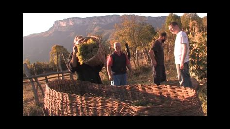 ხომლი Youtube