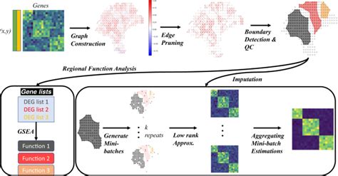 区域特异性去噪识别空间共表达模式和空间分辨转录组学数据中的组织内异质性 Nature Communications X Mol