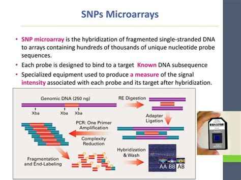 Snps Analysis Methods Pptx