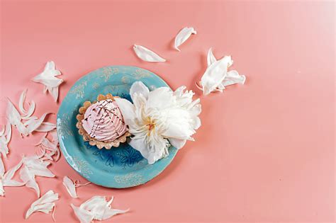 분홍색 톤 크림 케이크와 장식 접시에에서 그림 같은 정 둘러싸인 분홍색 배경에 흰색 꽃잎 Pions 복사 공간 평면도 설정 0명에 대한 스톡 사진 및 기타 이미지 Istock