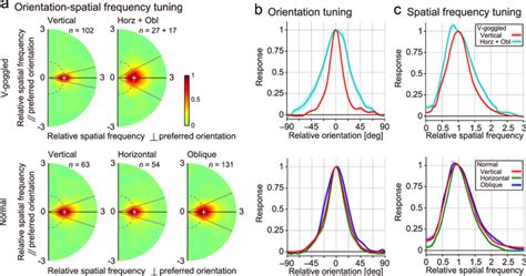 Tuning Curves Averaged Across A Population Of Neurons In Area 17 A Download Scientific