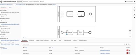 Call Activity Variable Maps Discussion And Questions Camunda Forum