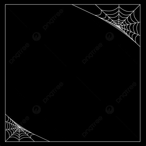 Corner Spider Web