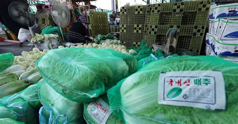 폭염에 여름배추 금값