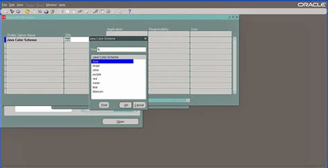 Rafi ORACLE DBA APPS DBA Blog Changing The Look And Feel Of