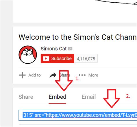 Javascript Dynamically Adding A Video Element Using Jquery Stack